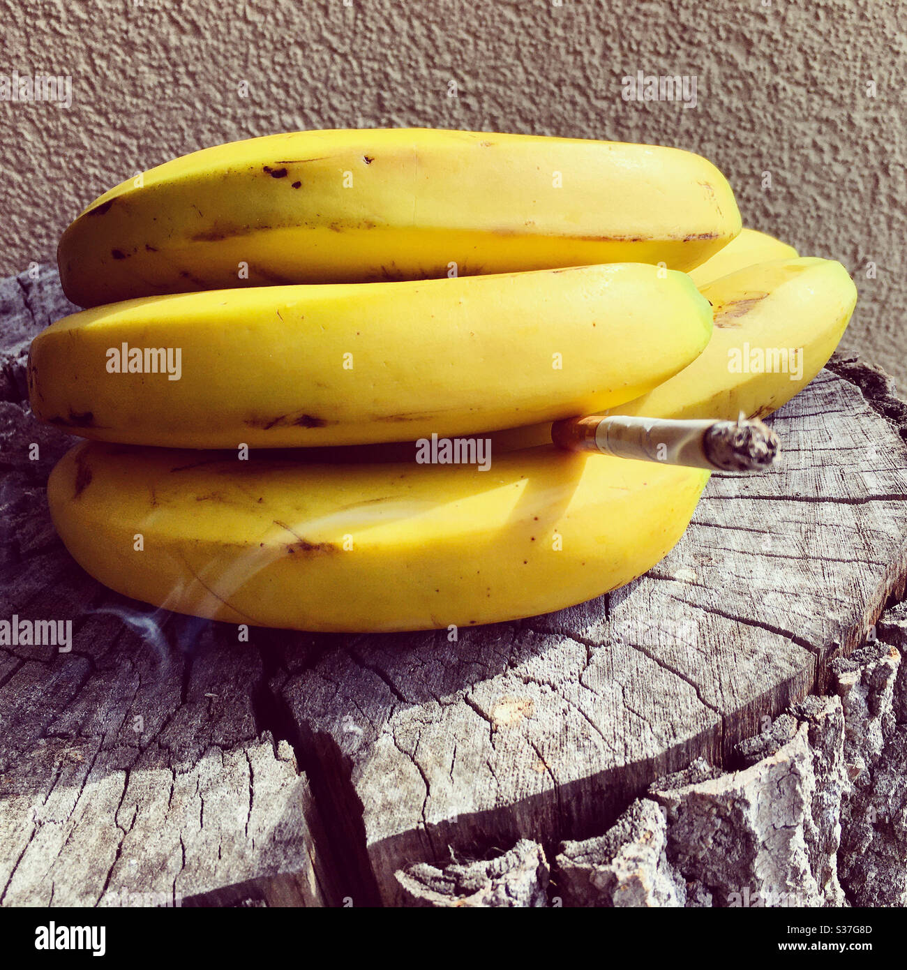 Fruits of peace hi-res stock photography and images - Alamy