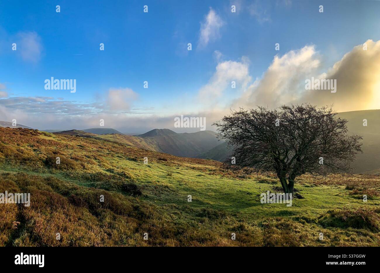 Shropshire hills aonb hi-res stock photography and images - Alamy