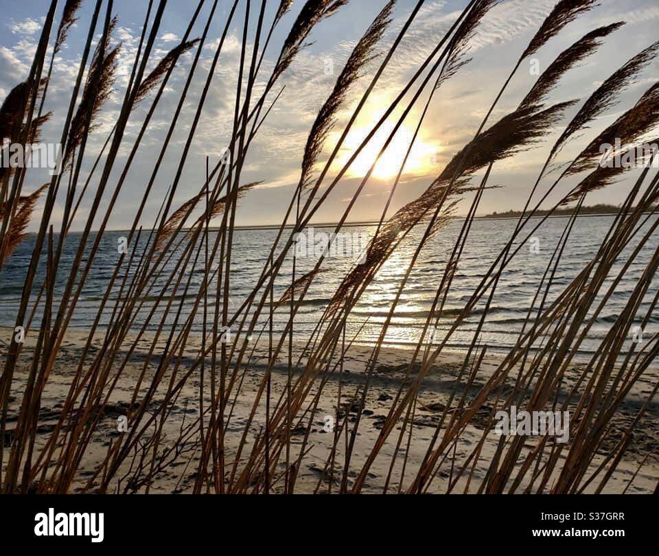 Breezing hi-res stock photography and images - Alamy