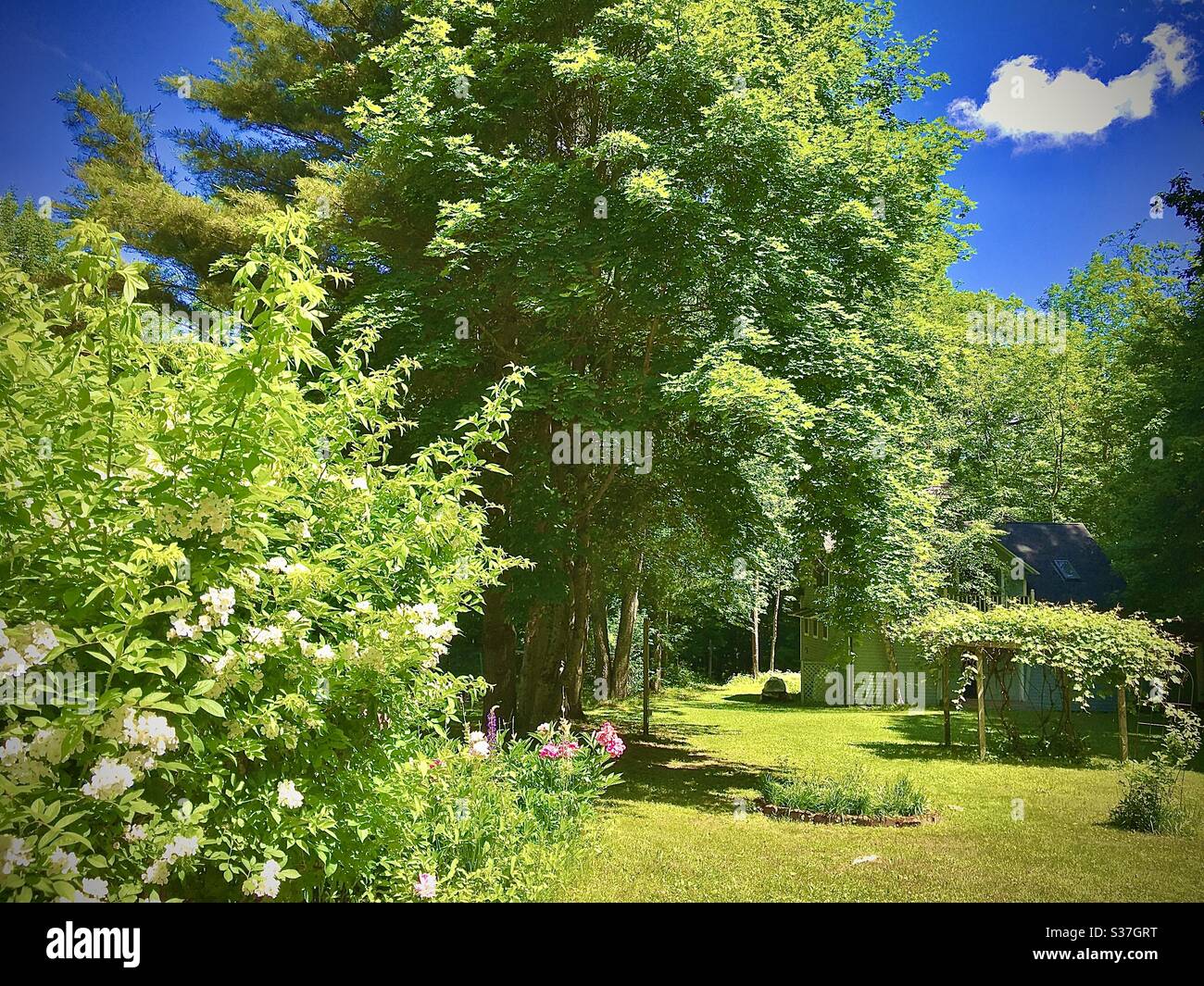 Monterey garden hi-res stock photography and images - Alamy