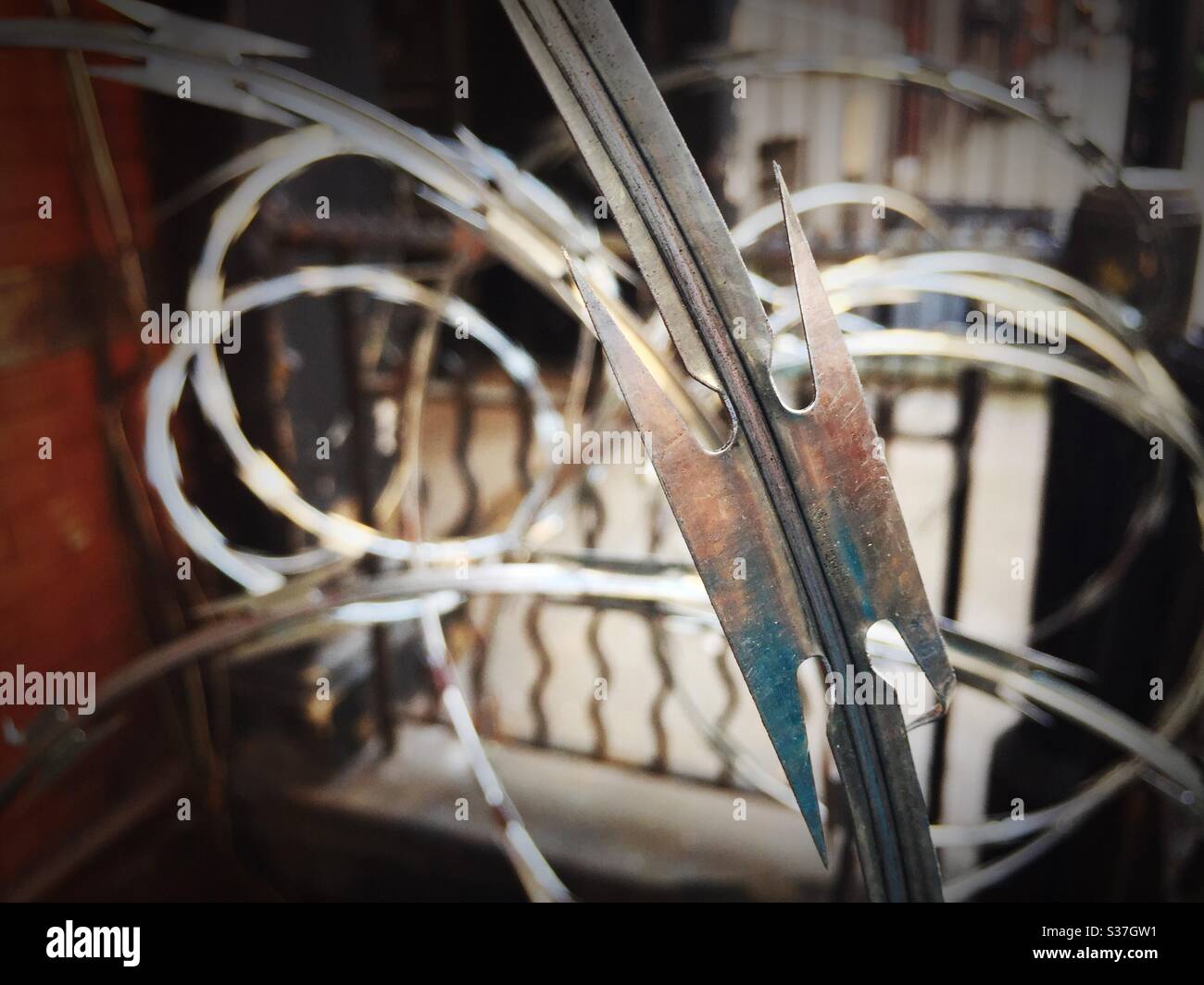 Wire barbs hi-res stock photography and images - Alamy