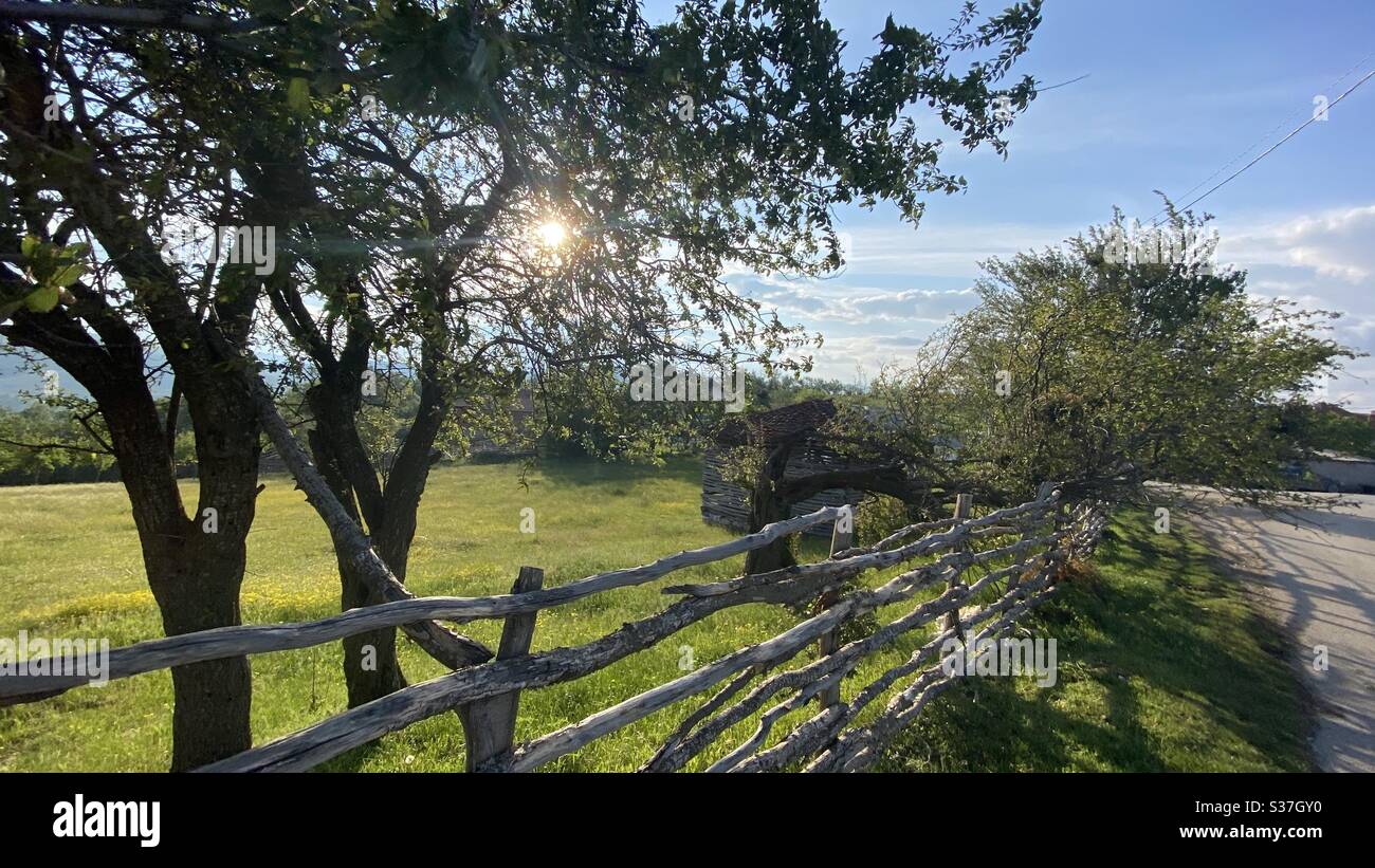 Color of nature Stock Photo - Alamy