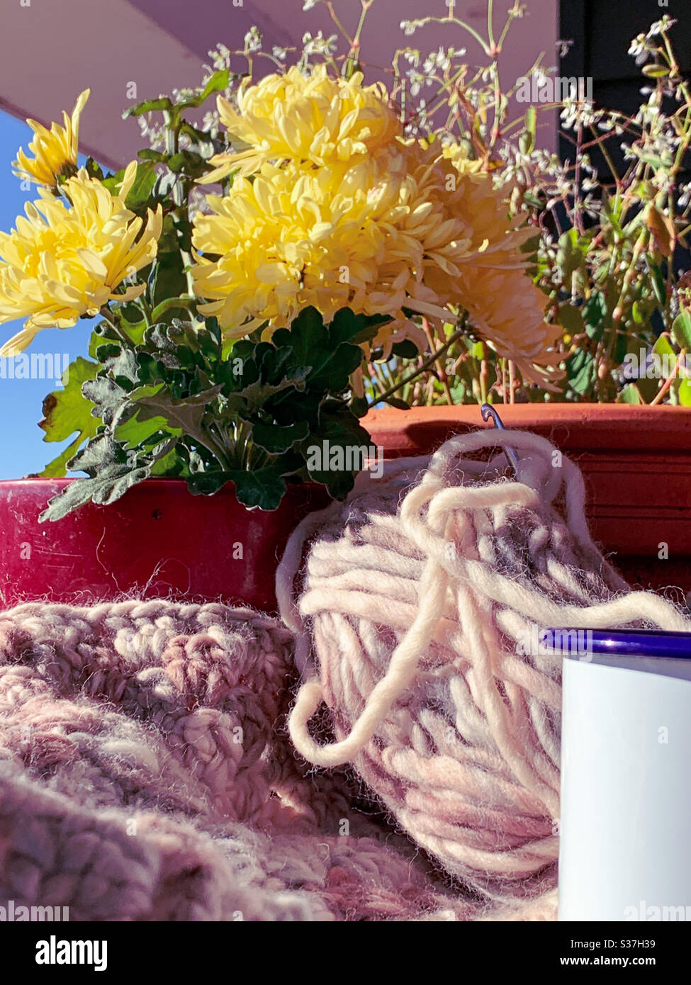 Mothers day flowers hi-res stock photography and images - Alamy