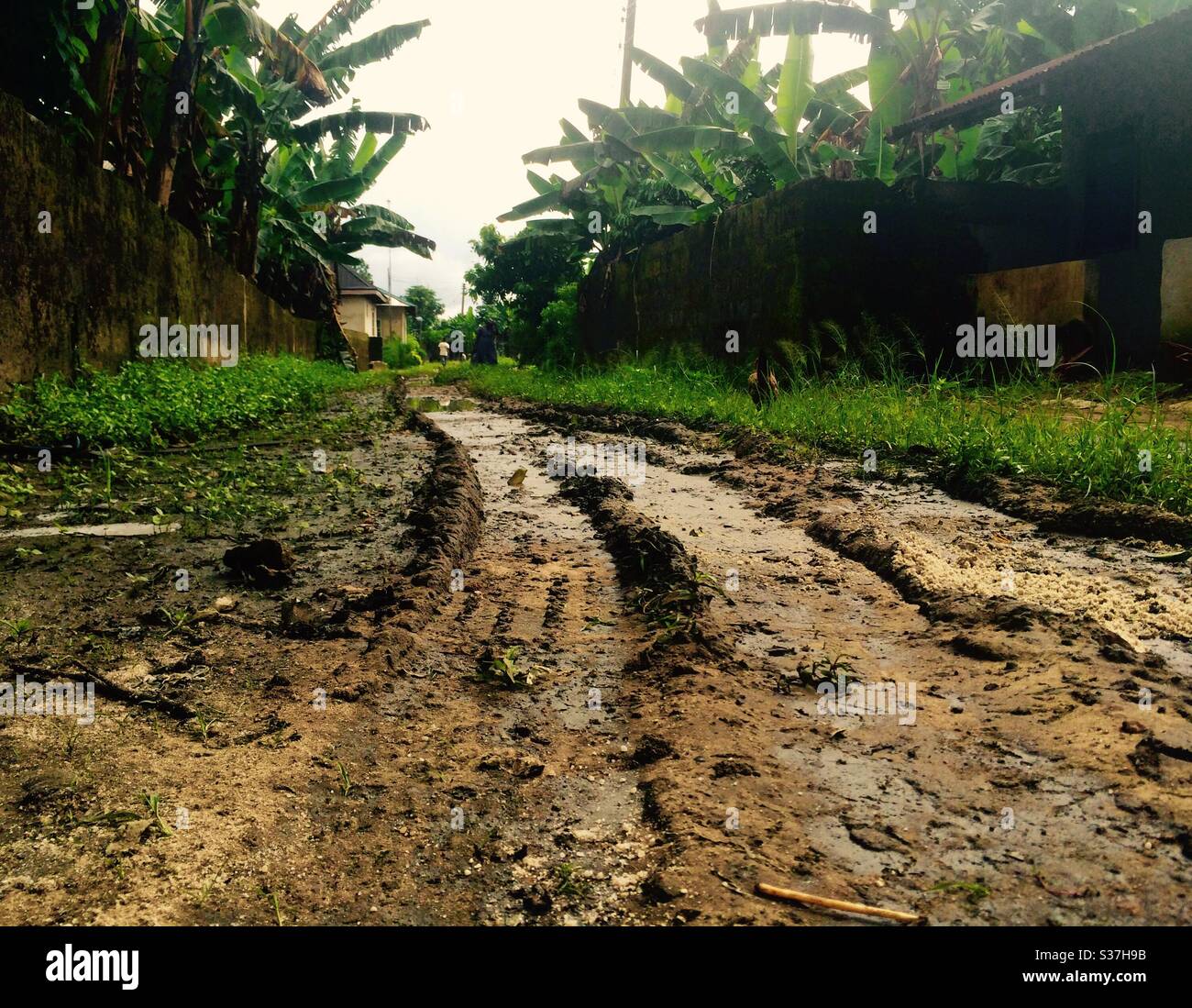 Muddy grass hi-res stock photography and images - Alamy