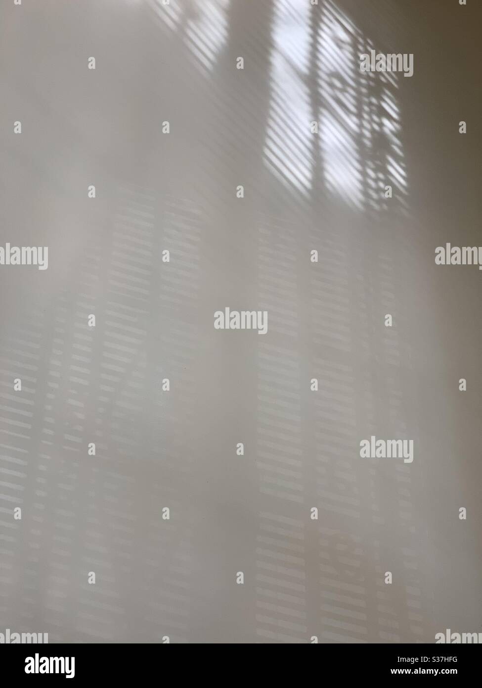 The shadows of the window curtain on the plain wall in black and white ...