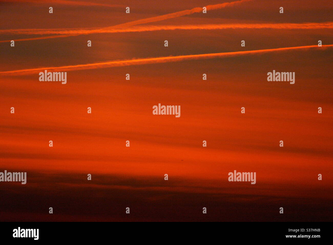 Ruby reds hi-res stock photography and images - Alamy