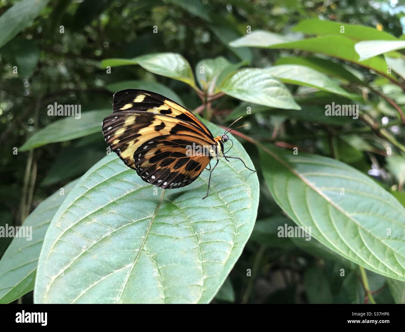 Seattle science center hi-res stock photography and images - Alamy