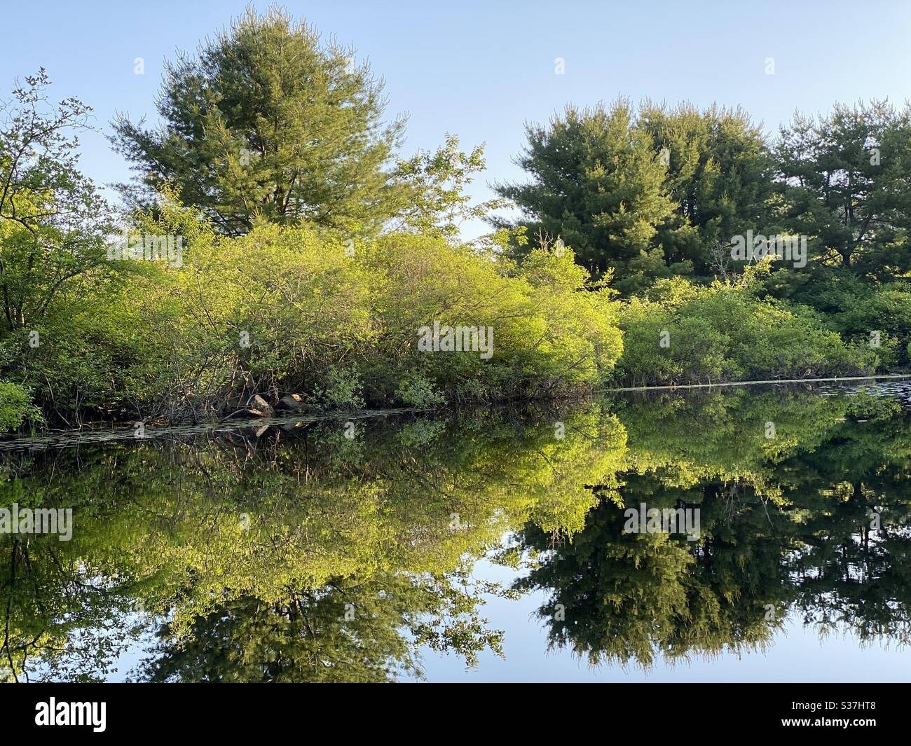 Green scene hi-res stock photography and images - Alamy