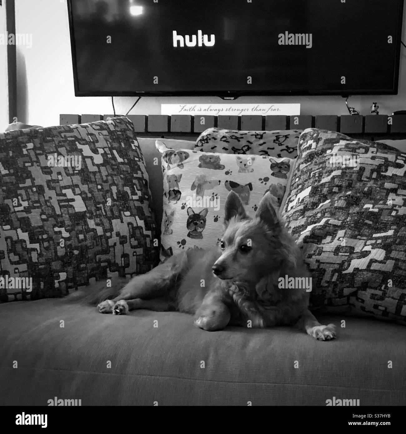 Hulu television Black and White Stock Photos & Images - Alamy