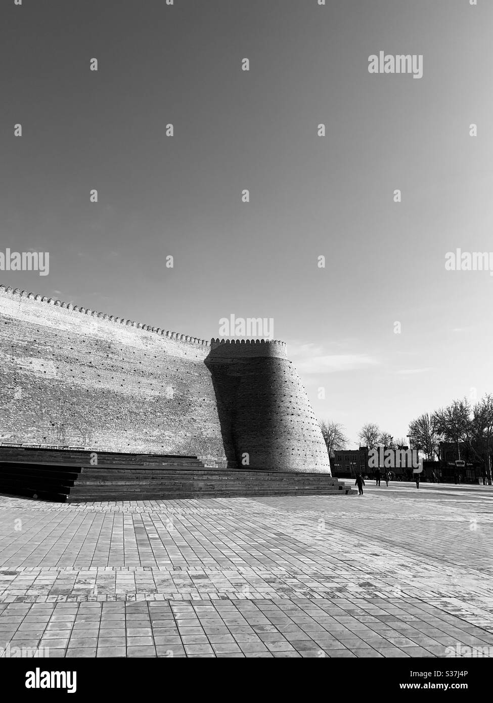 Arak hi-res stock photography and images - Alamy