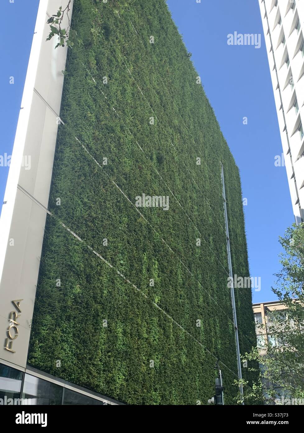 Building covered in leaves hi-res stock photography and images - Alamy