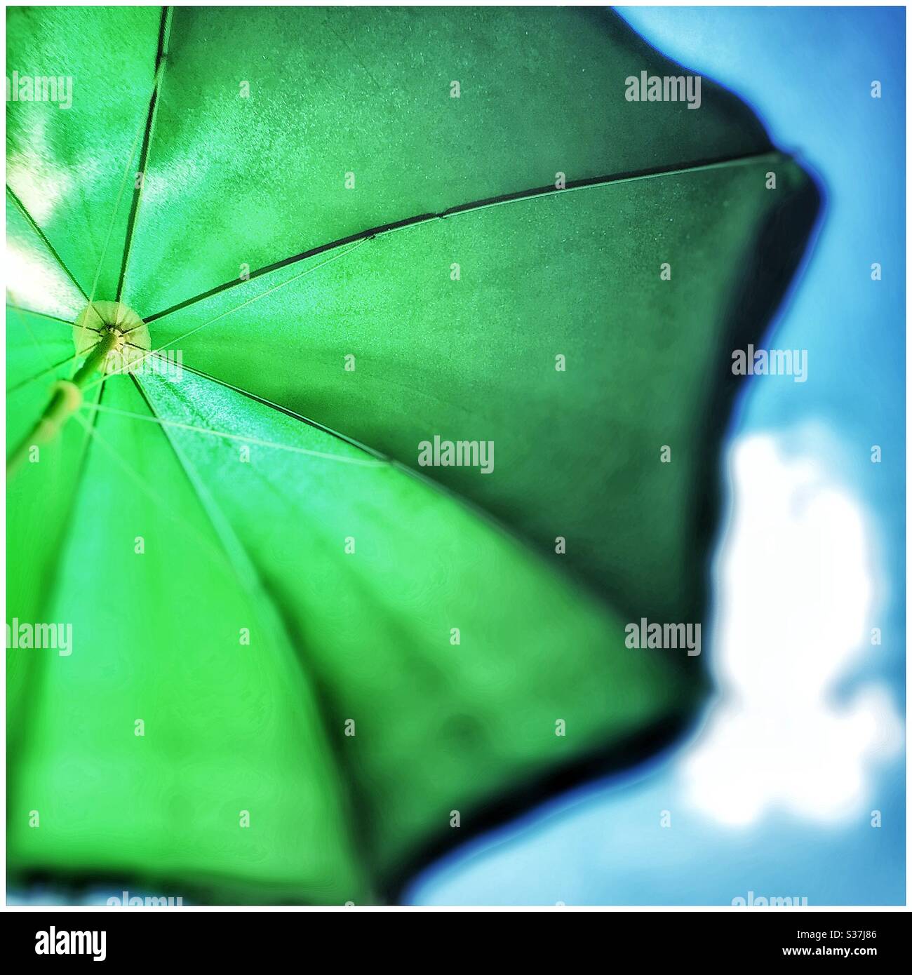 Green parasol hi-res stock photography and images - Alamy
