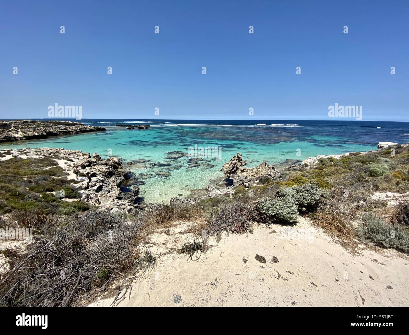 Rottnest island perth hi-res stock photography and images - Alamy