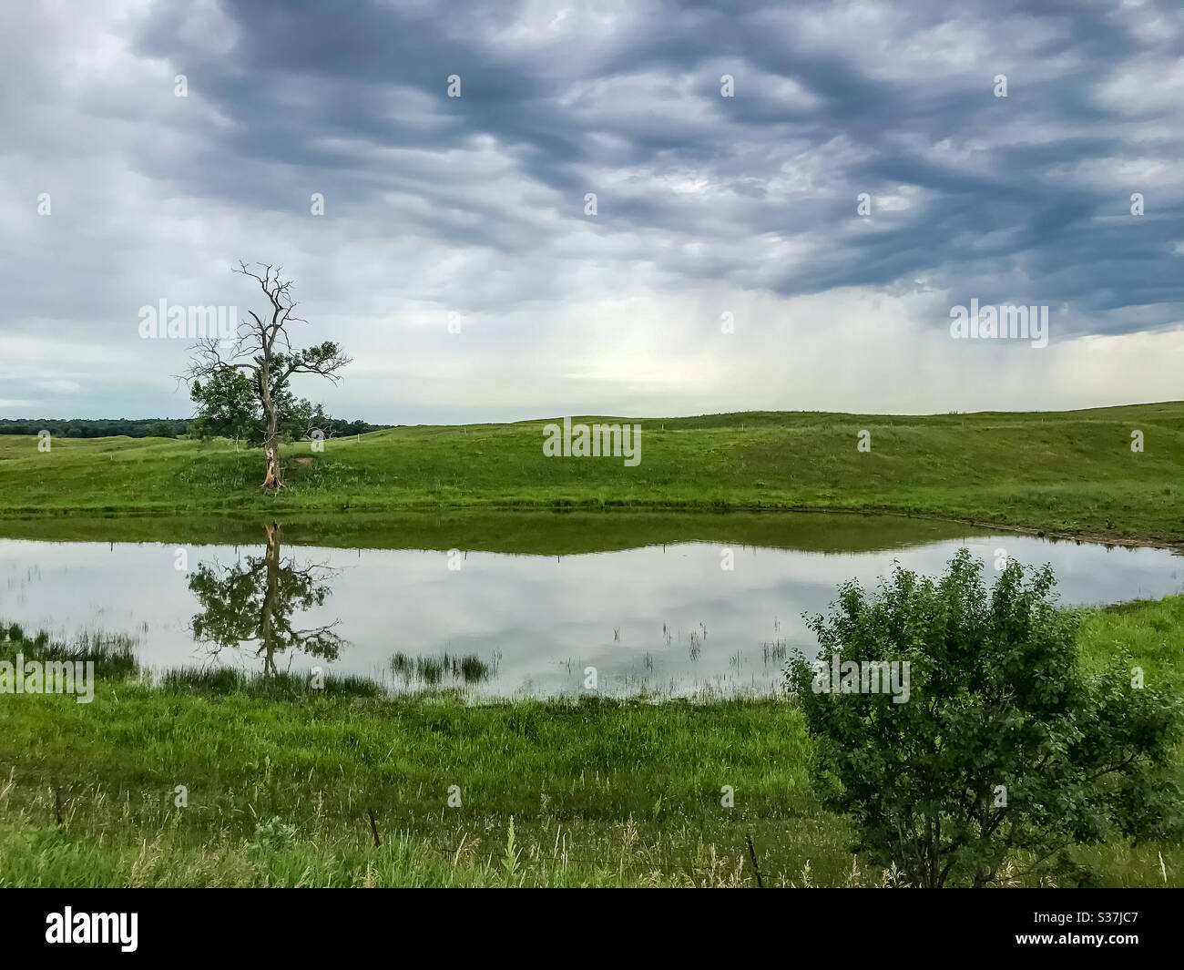 Rainy lake minnesota hi-res stock photography and images - Alamy