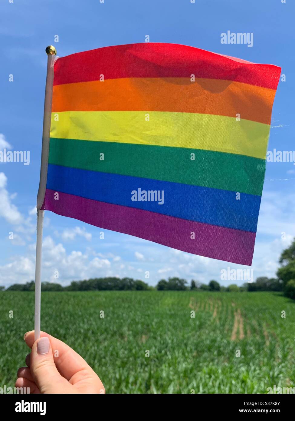 Gay pride flag flying above a cornfield Stock Photo - Alamy