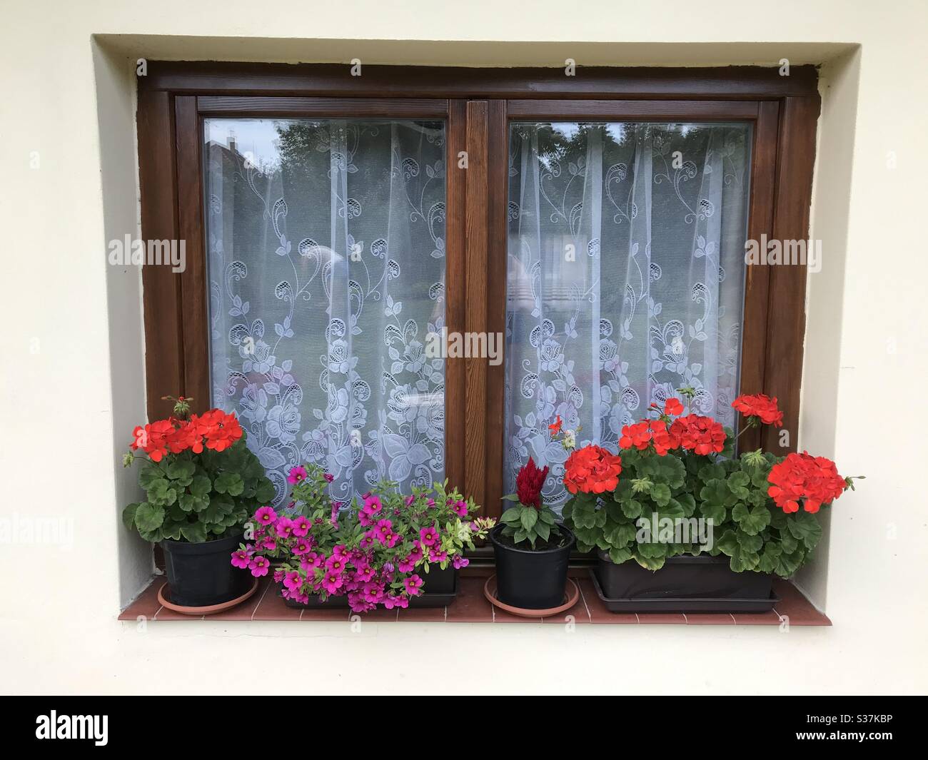 Window Decorated with Natural Flowers Stock Photo - Alamy