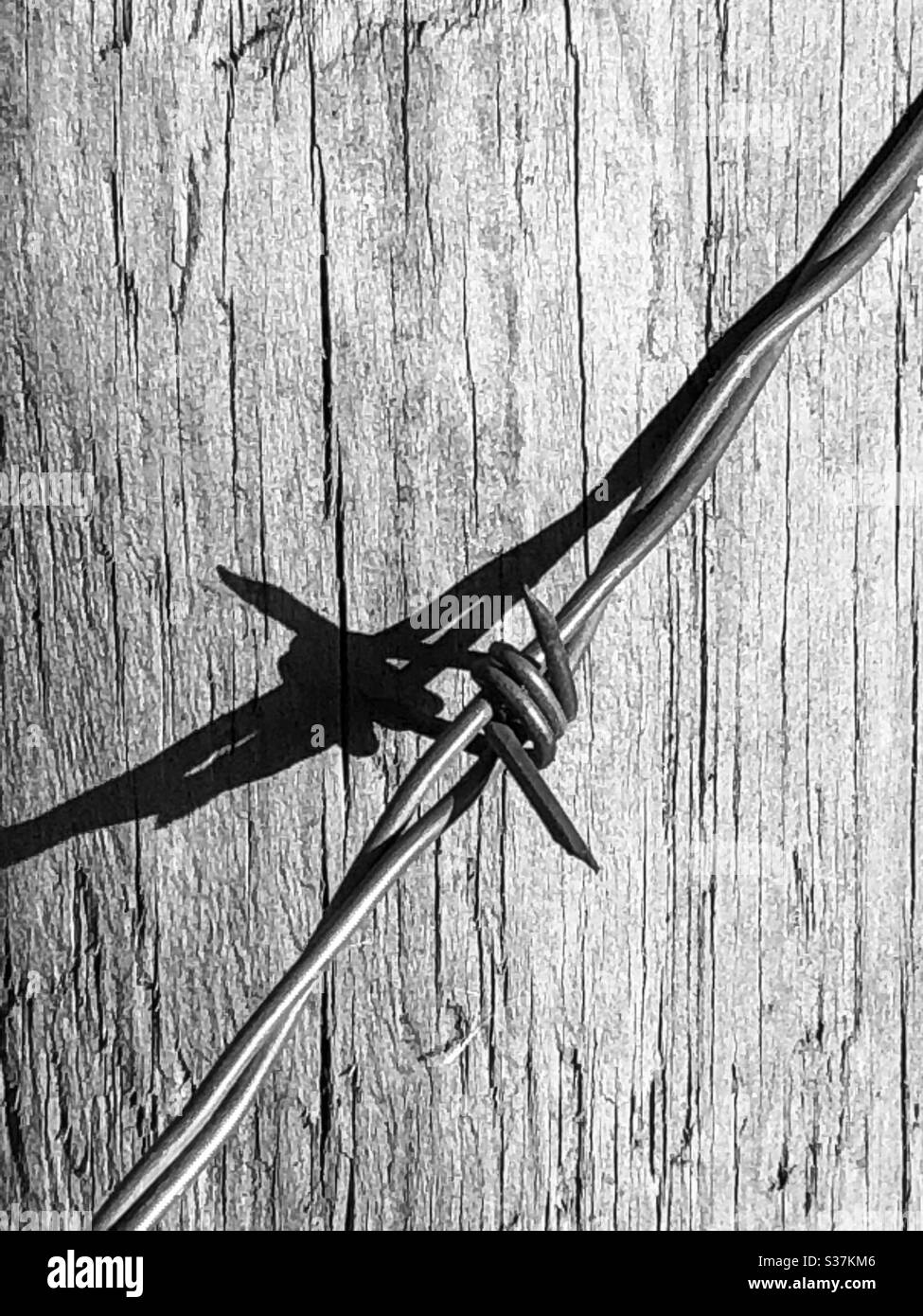 Sharp shadow hi-res stock photography and images - Alamy