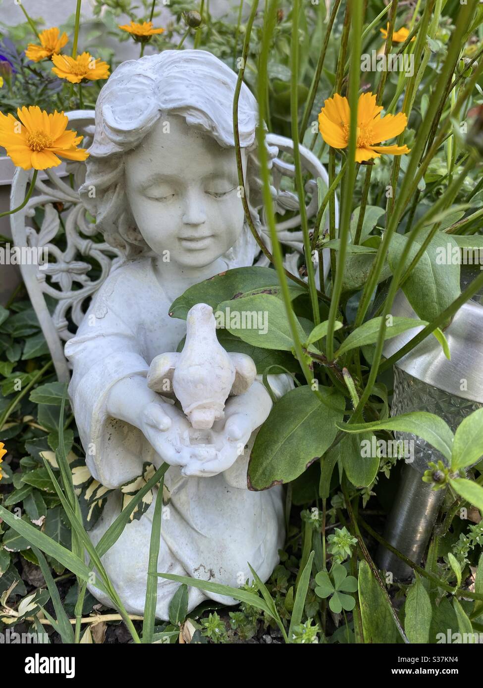 Angel Holding Bird High Resolution Stock Photography and Images - Alamy