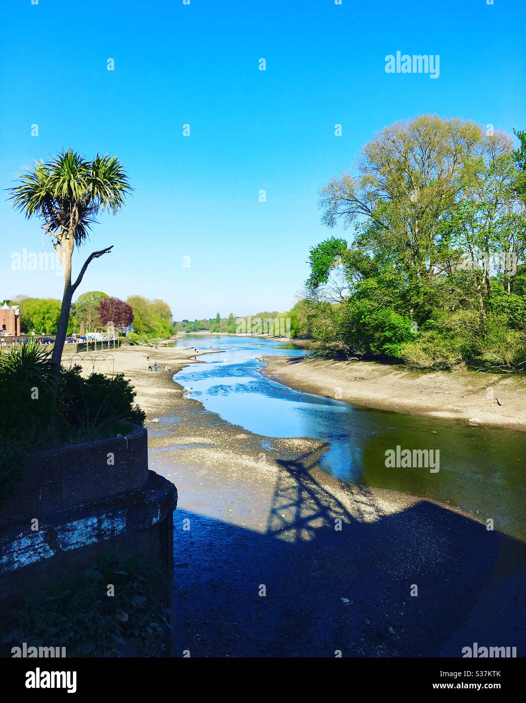 Low tide in the Thames at old Isleworth Middlesex Stock Photo - Alamy
