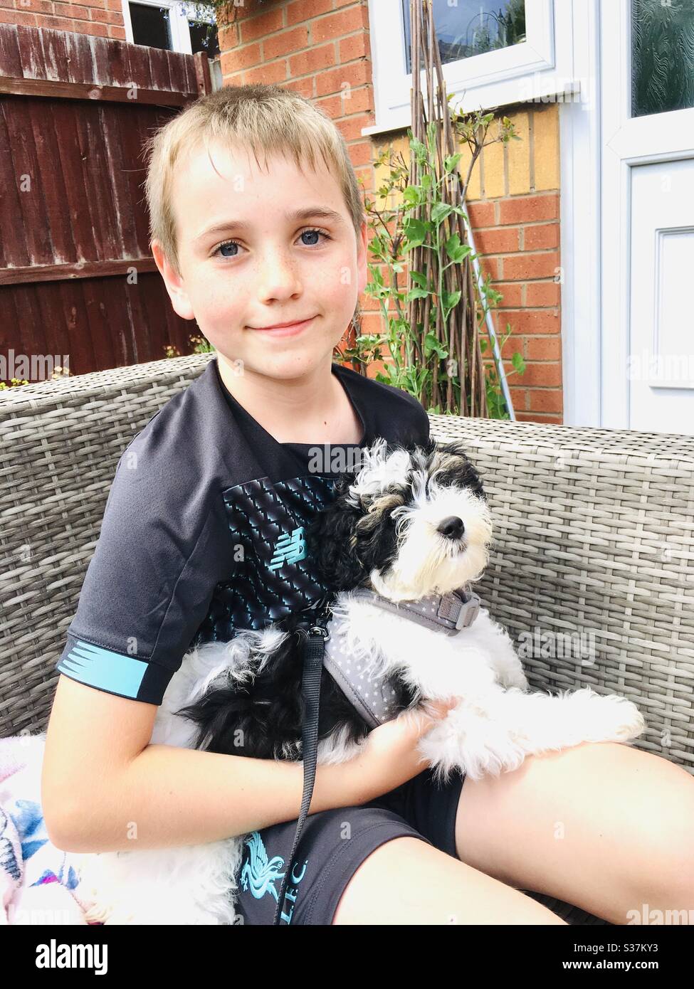 Boy holding puppy dog Stock Photo - Alamy