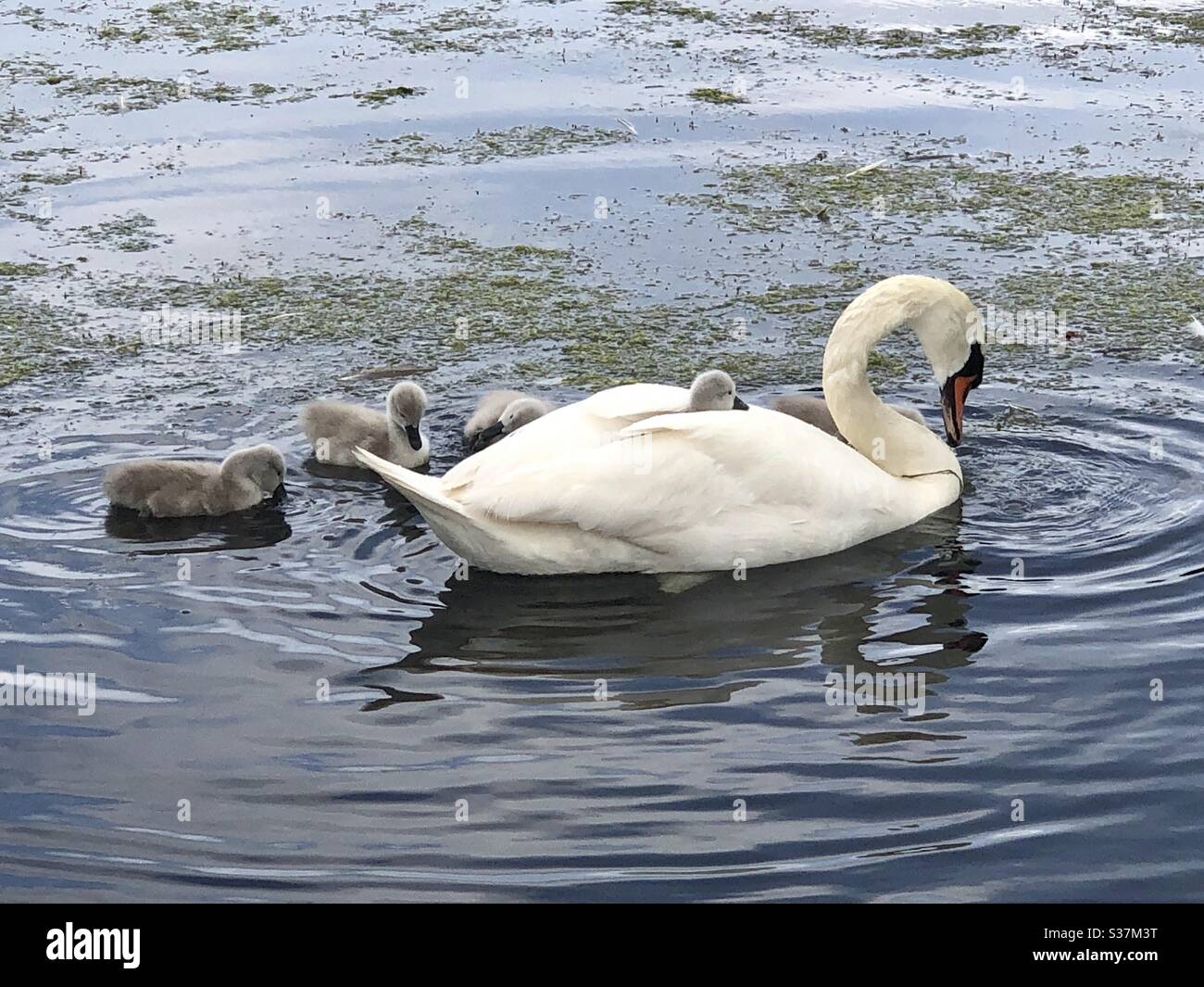 Hitching a ride hi-res stock photography and images - Alamy