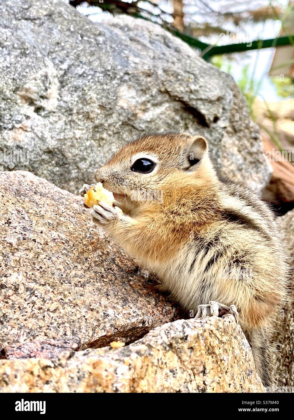 Cake ground hi-res stock photography and images - Alamy