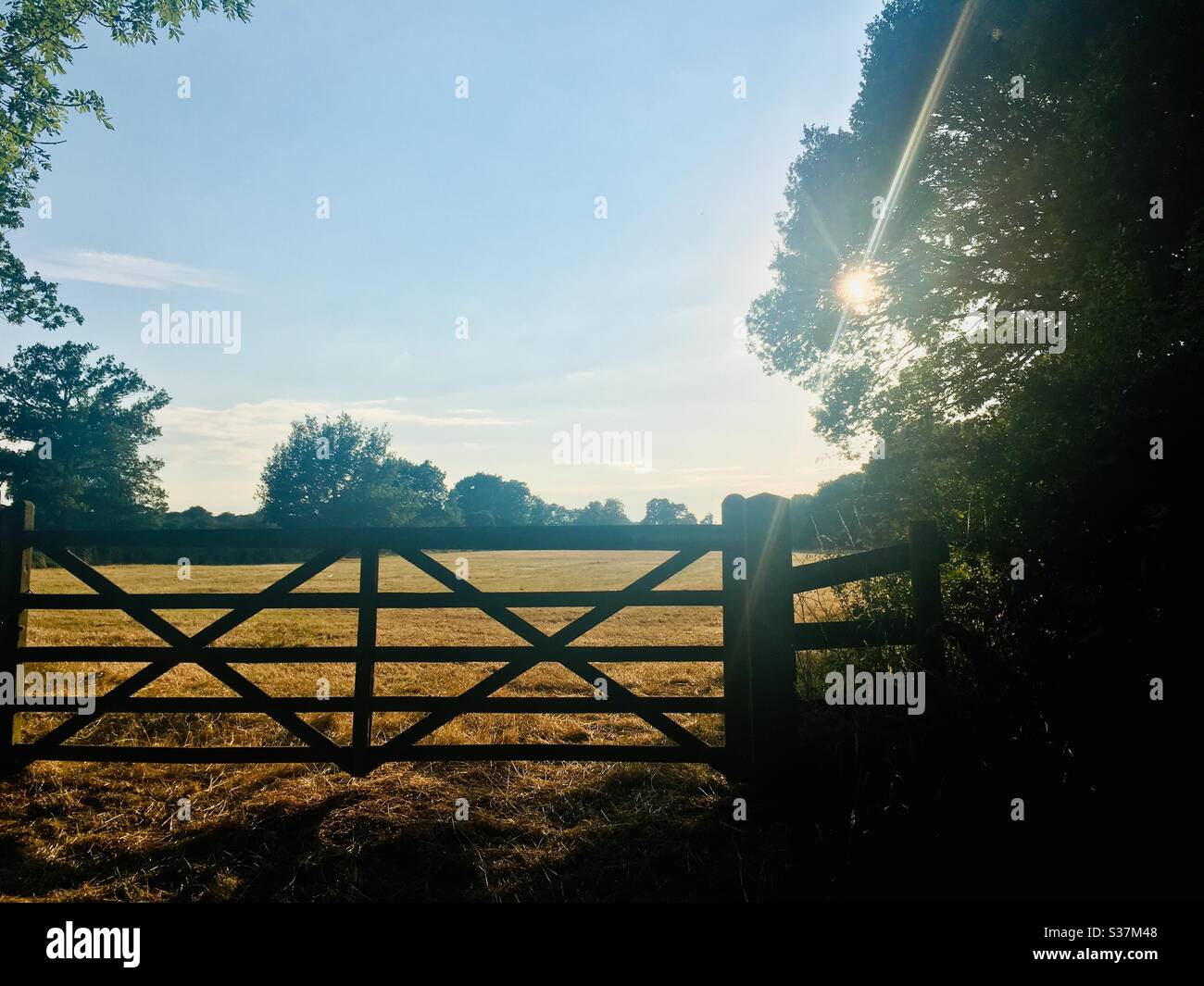Old field gate hi-res stock photography and images - Alamy