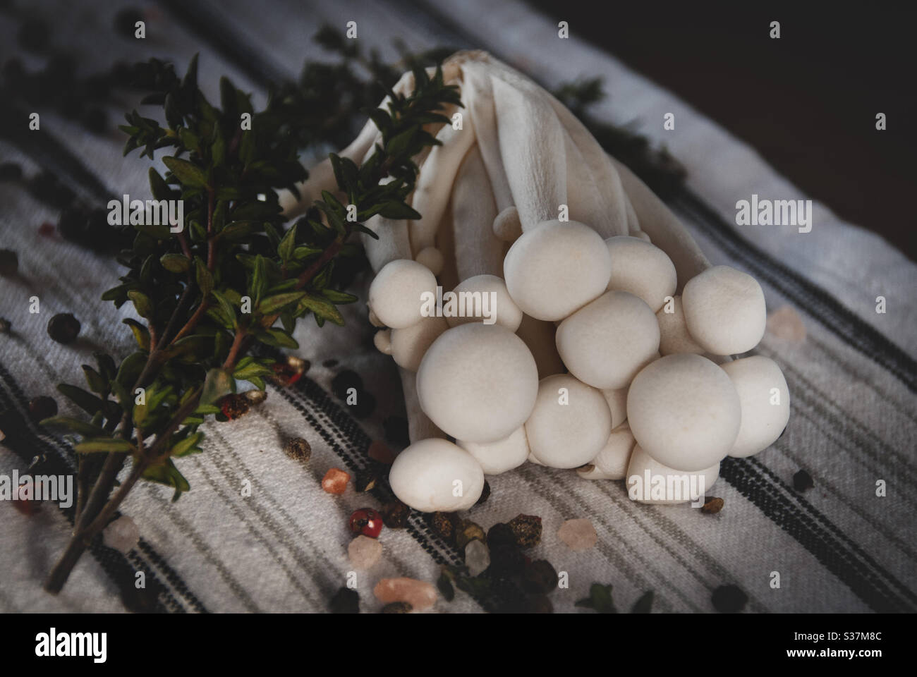 White beech hi-res stock photography and images - Alamy