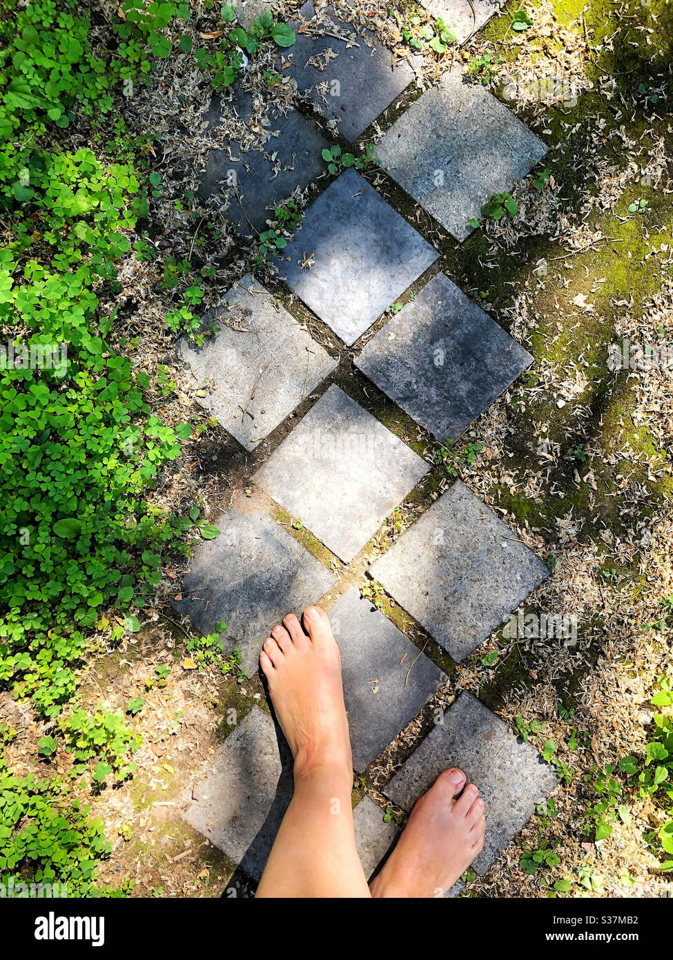 Woman walking barefoot across a stone path with clover and moss Stock ...