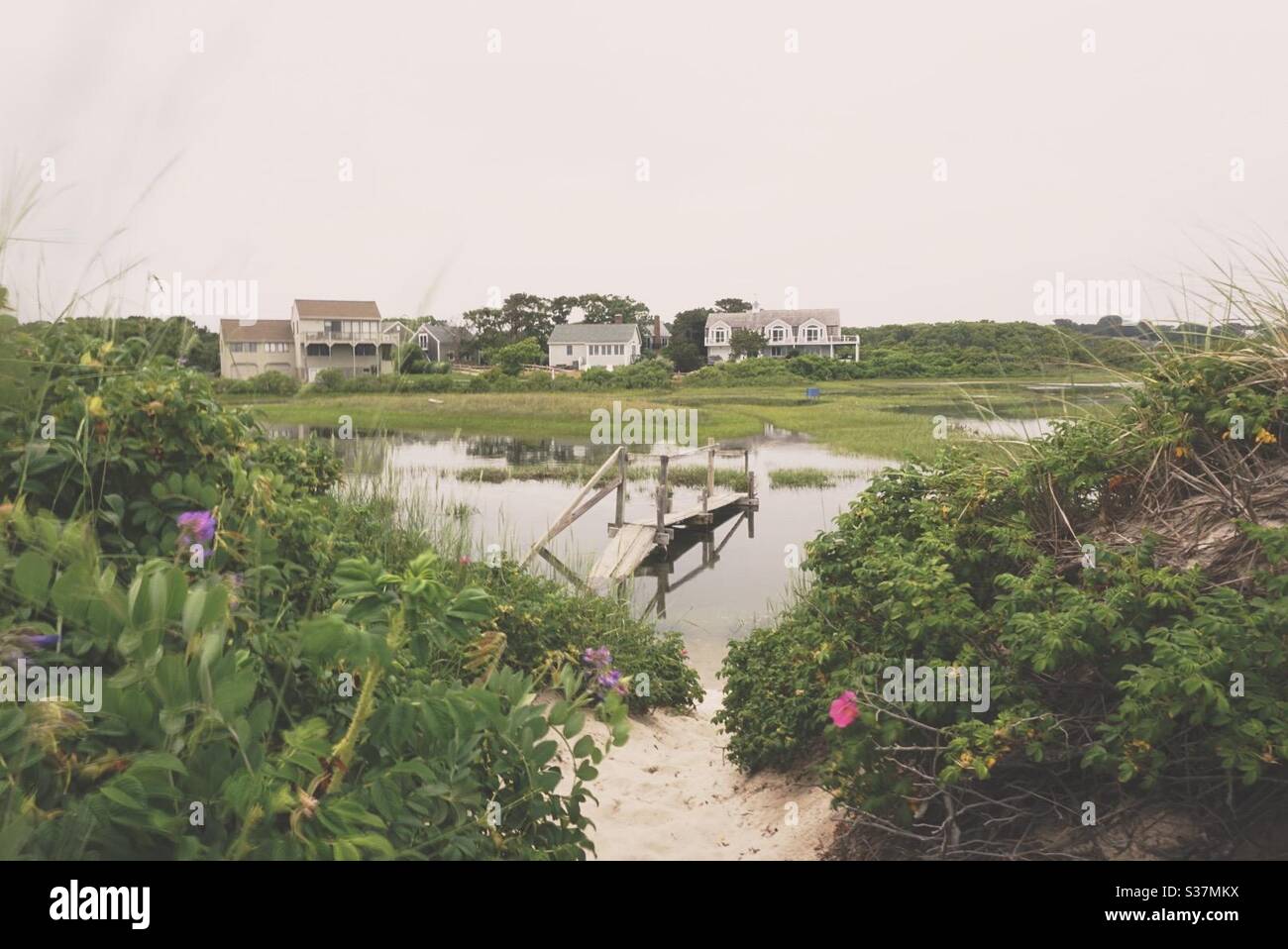 Marsh lands hi-res stock photography and images - Alamy