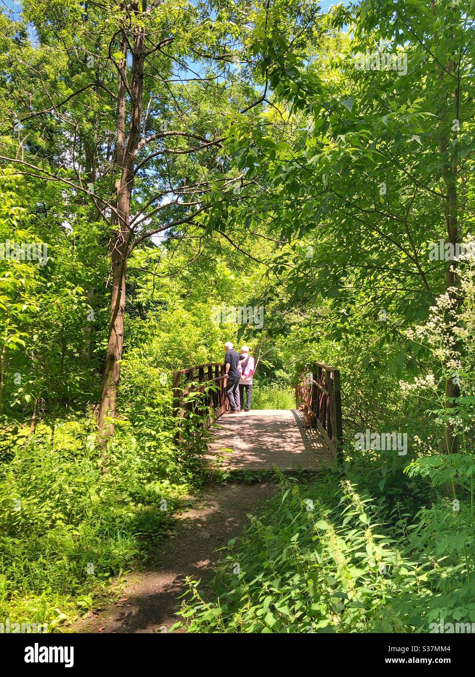 Two men crossing the bridge in the woods Stock Photo - Alamy