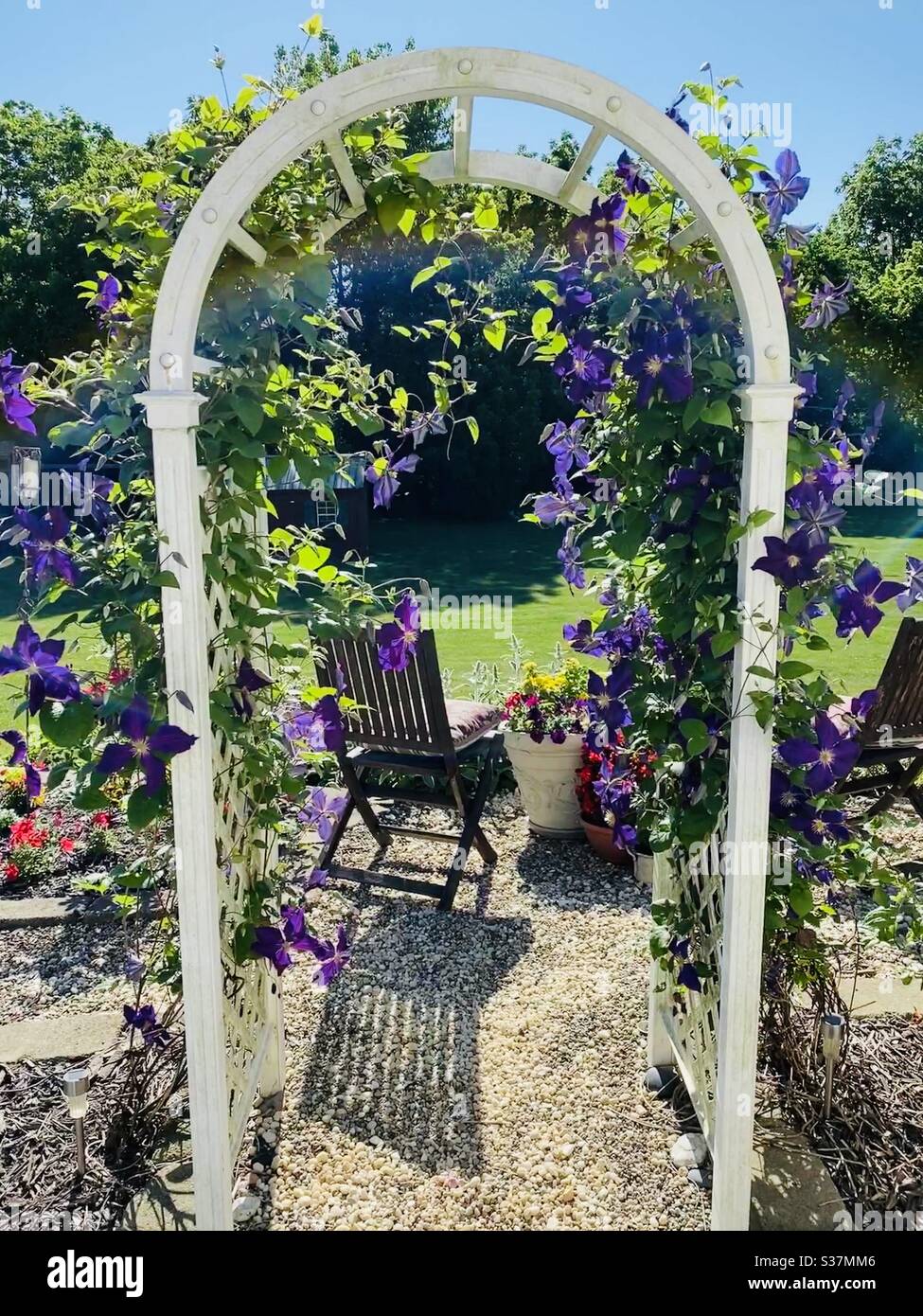 Clematis arch hi-res stock photography and images - Alamy
