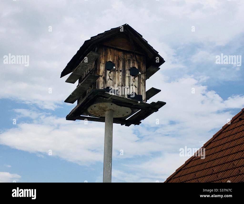 Pigeon loft hi-res stock photography and images - Alamy