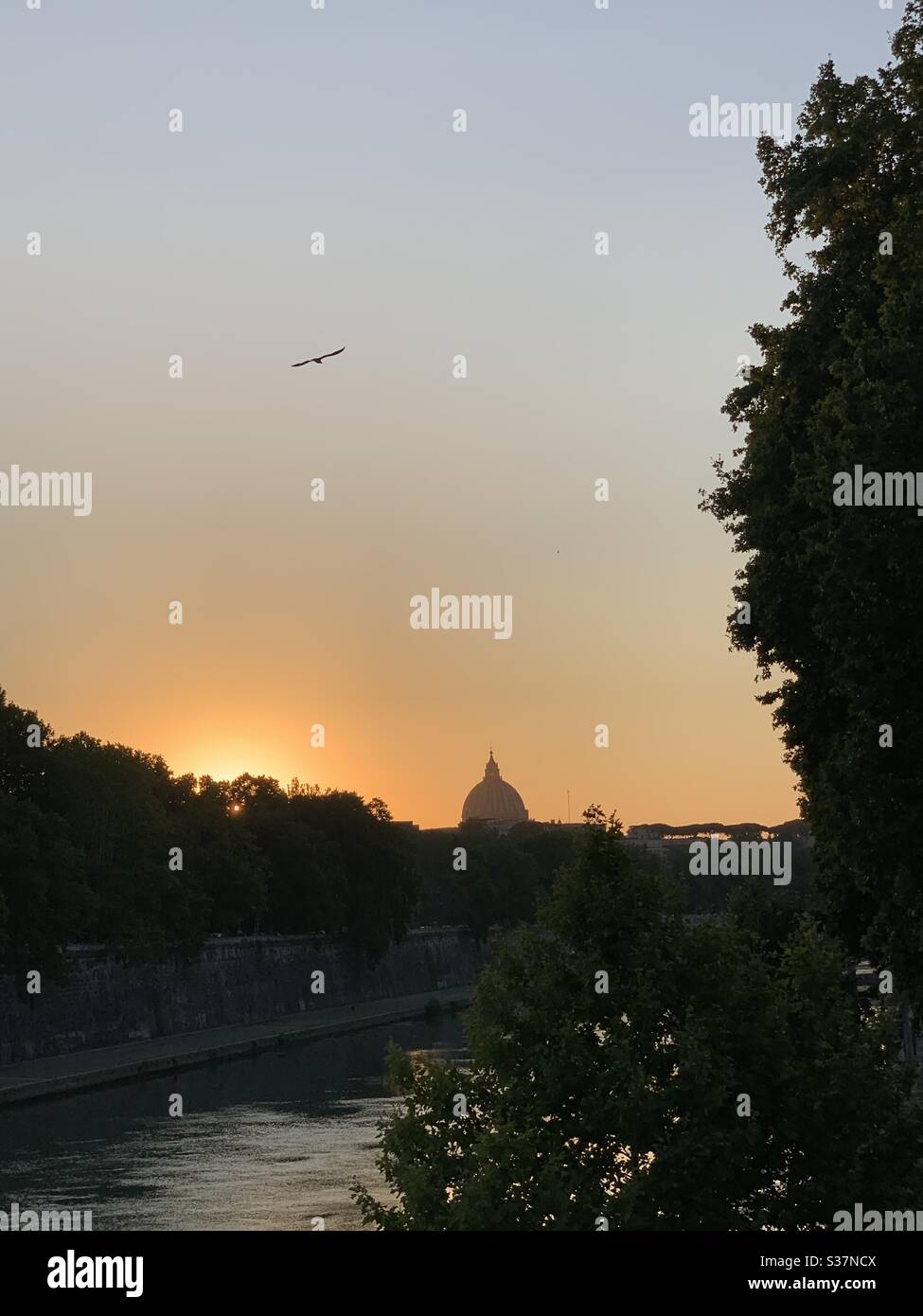 Vatican rome sunset dome hi-res stock photography and images - Alamy