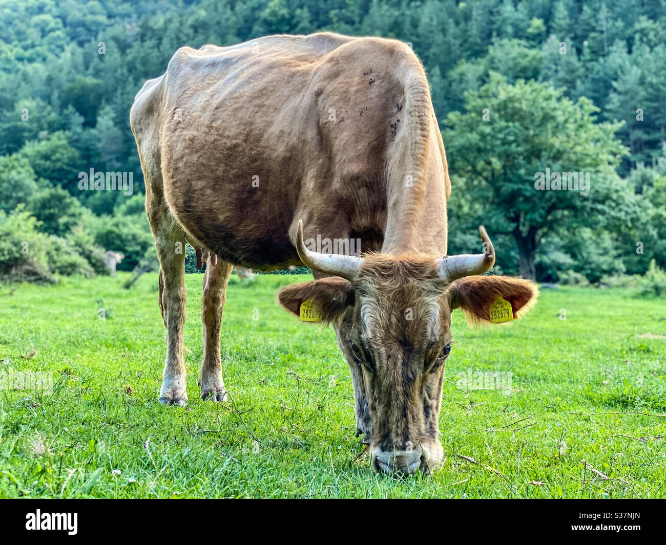 Stay calm hi-res stock photography and images - Alamy