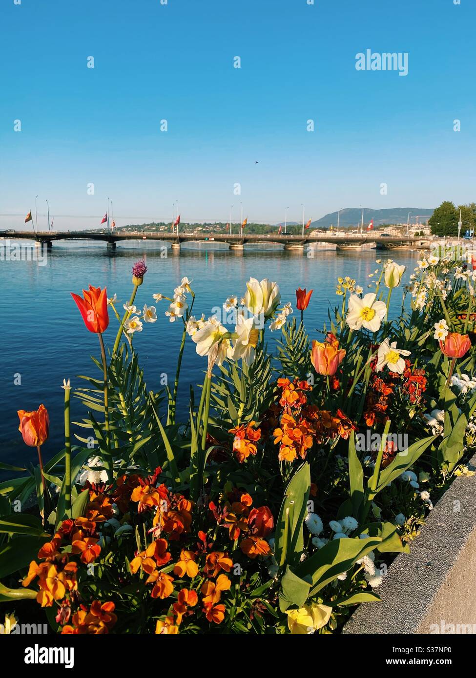 Spring by the lake hi-res stock photography and images - Alamy