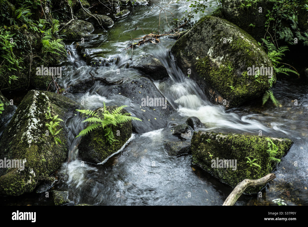 Running water and nature hi-res stock photography and images - Alamy