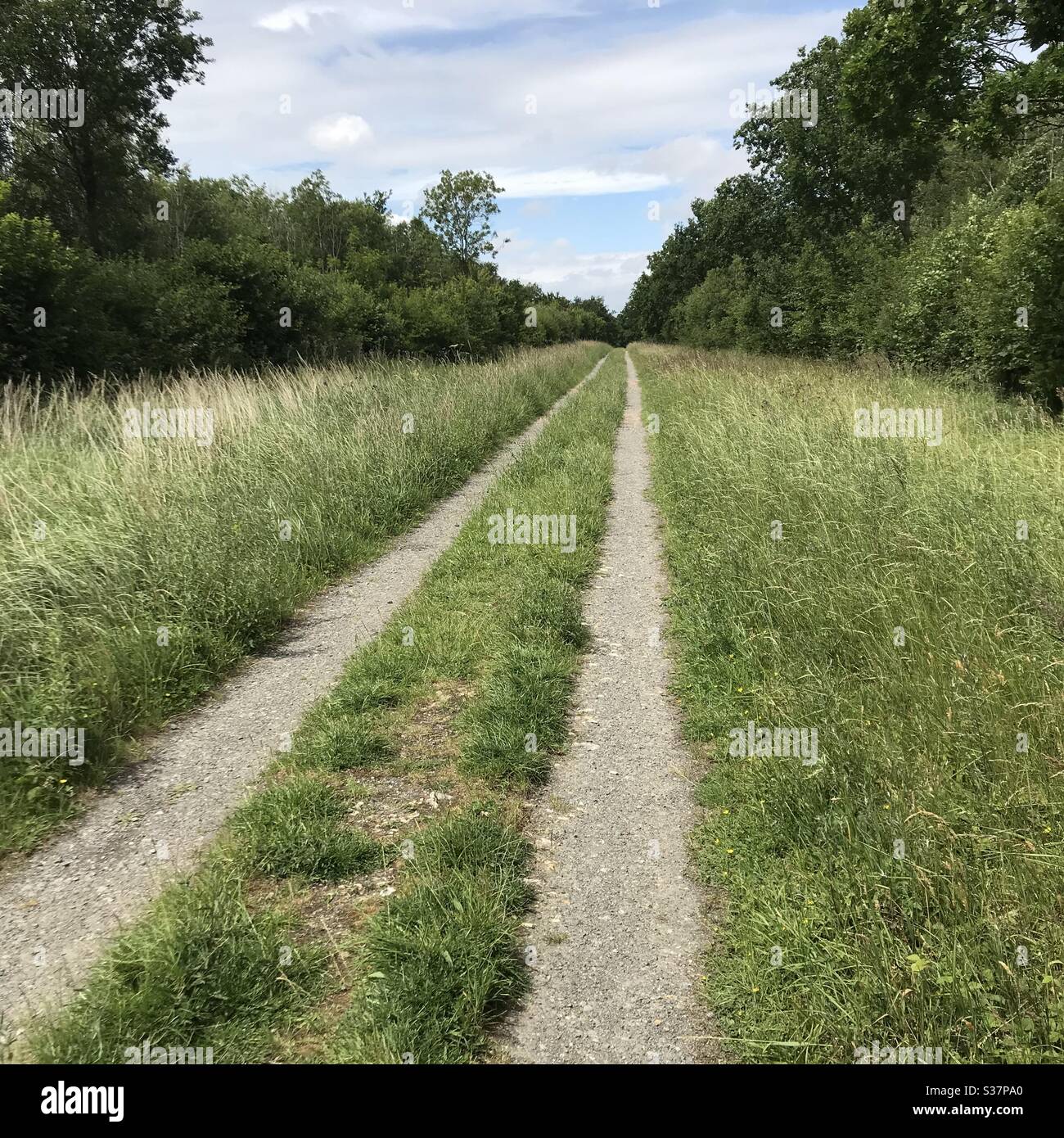 Pathway track hi-res stock photography and images - Alamy