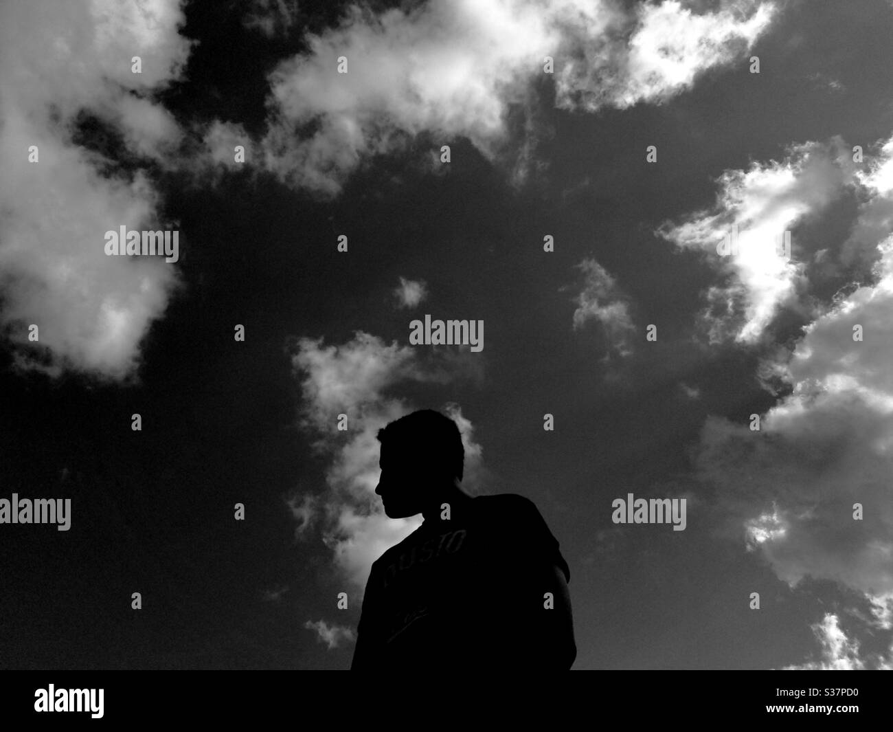 Boy Looking Up Silhouette