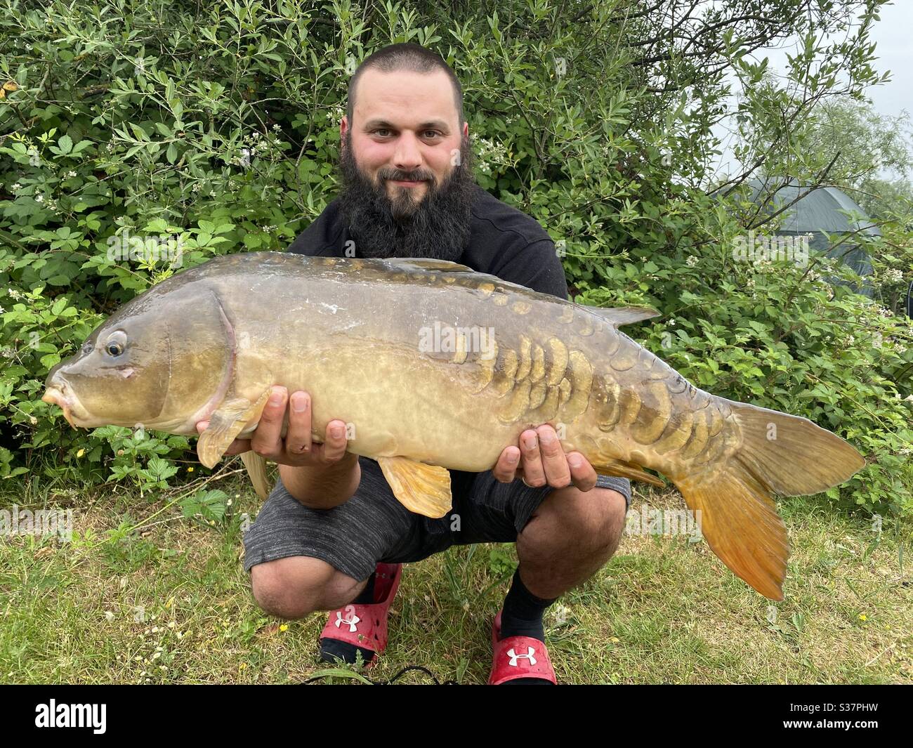 Carp bream hi-res stock photography and images - Alamy