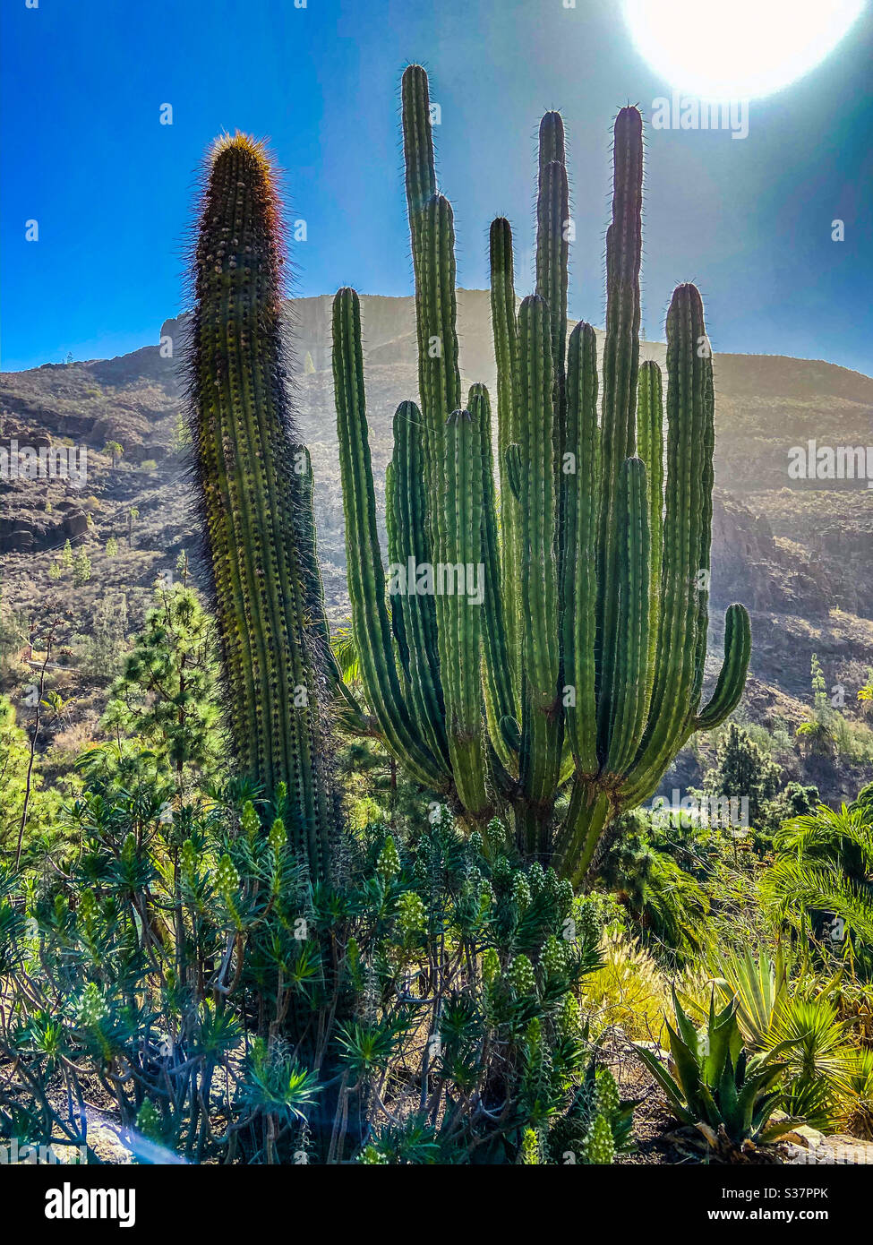 Sun light mountains and islands hi-res stock photography and images - Alamy