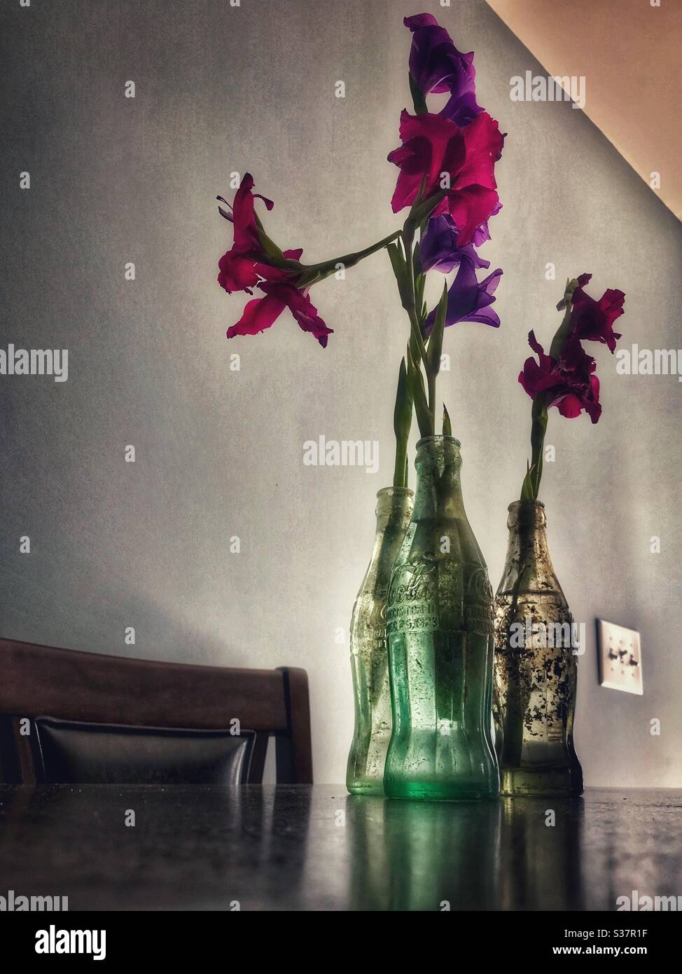 Maroon and purple gladiolus blossoms in old bottles Stock Photo - Alamy