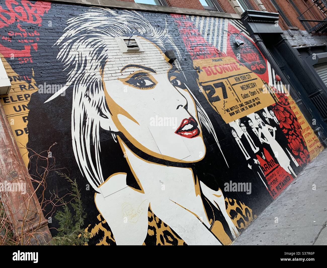 Blondie Debbie Harry Art High Resolution Stock Photography and Images ...