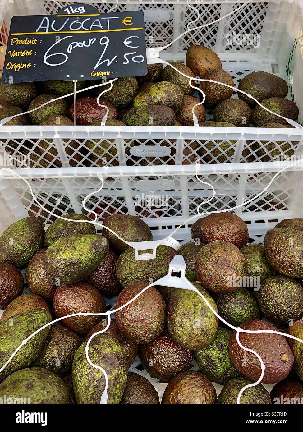 Avocados on French market stall... 6 for €2.50 Stock Photo - Alamy