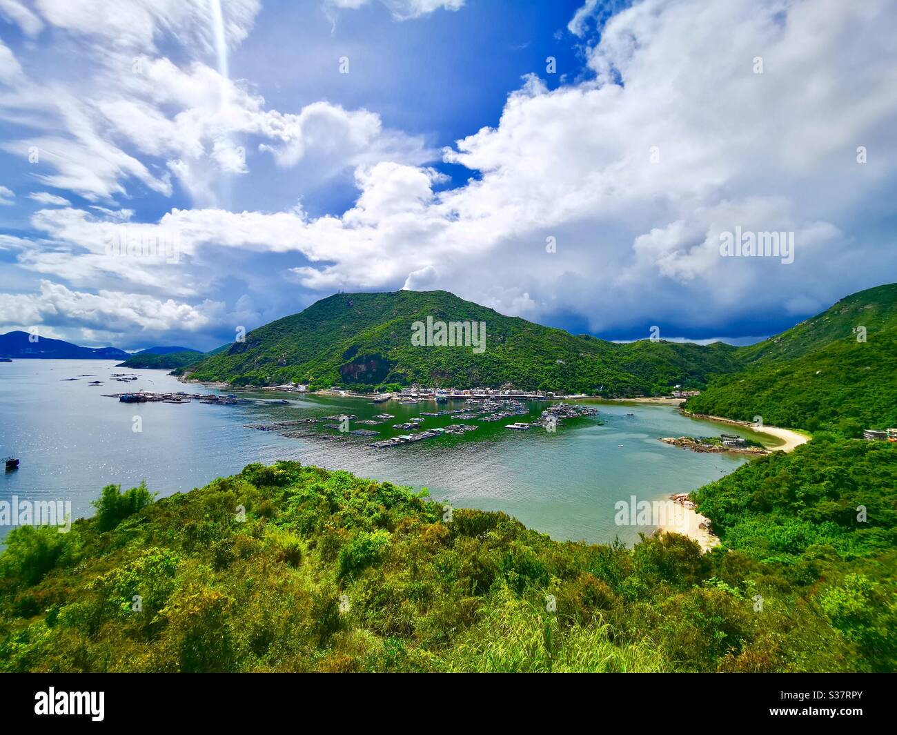 Lamma family trail hi-res stock photography and images - Alamy