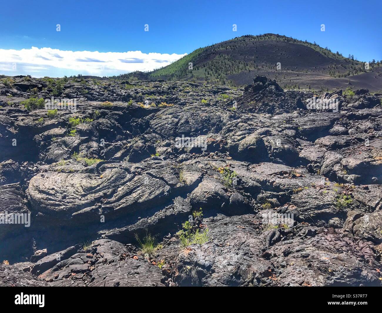 Cooled lava rock in the Craters of the Moon National Monument in Idaho ...