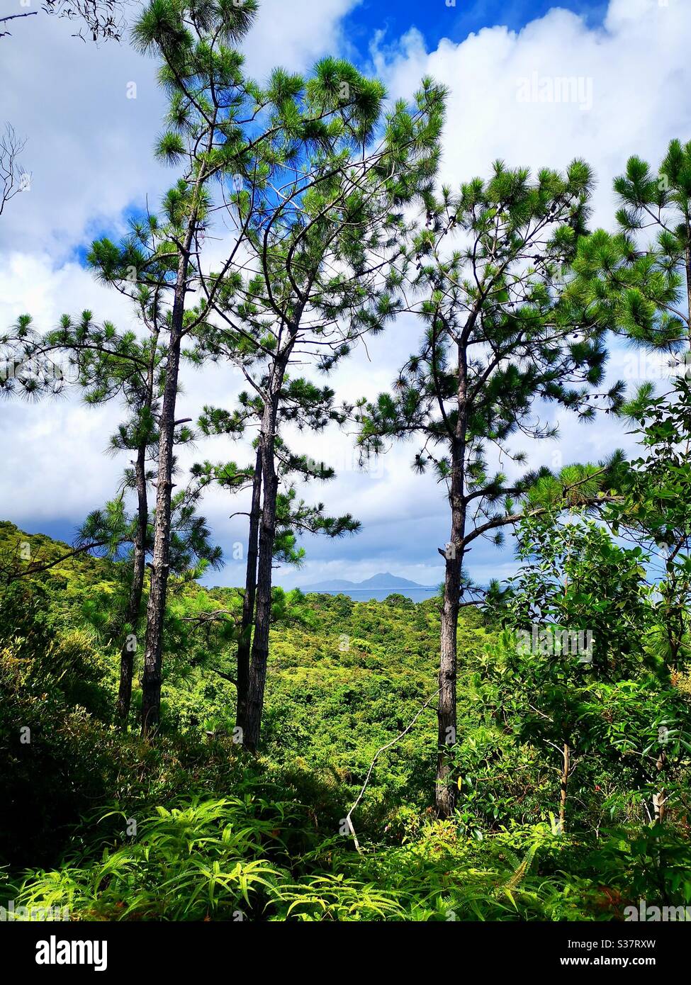 Lamma family trail hi-res stock photography and images - Alamy