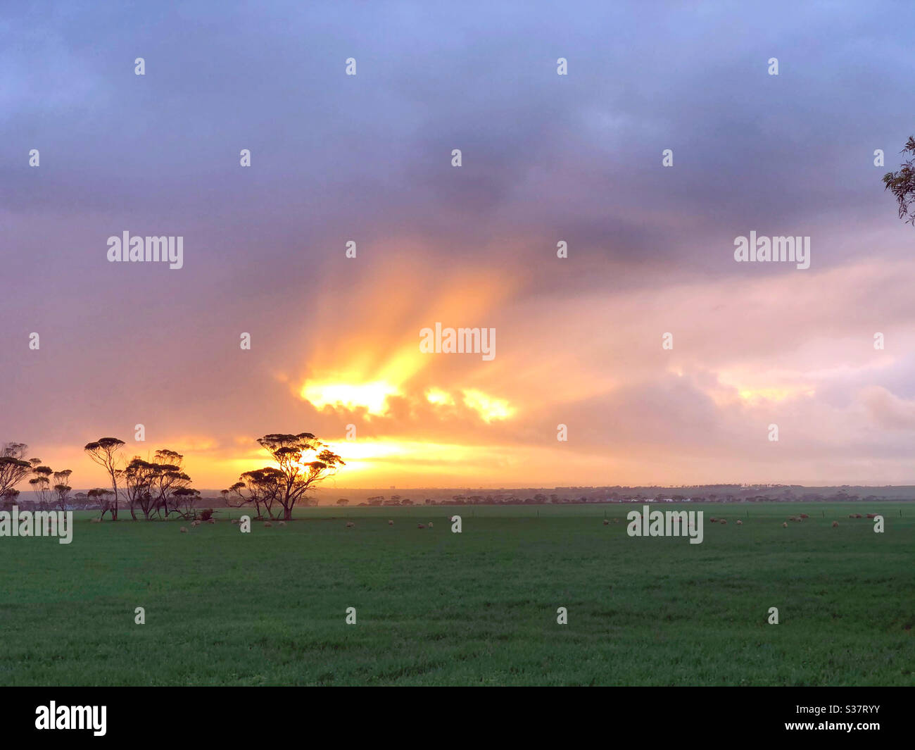 Rays rural hi-res stock photography and images - Alamy