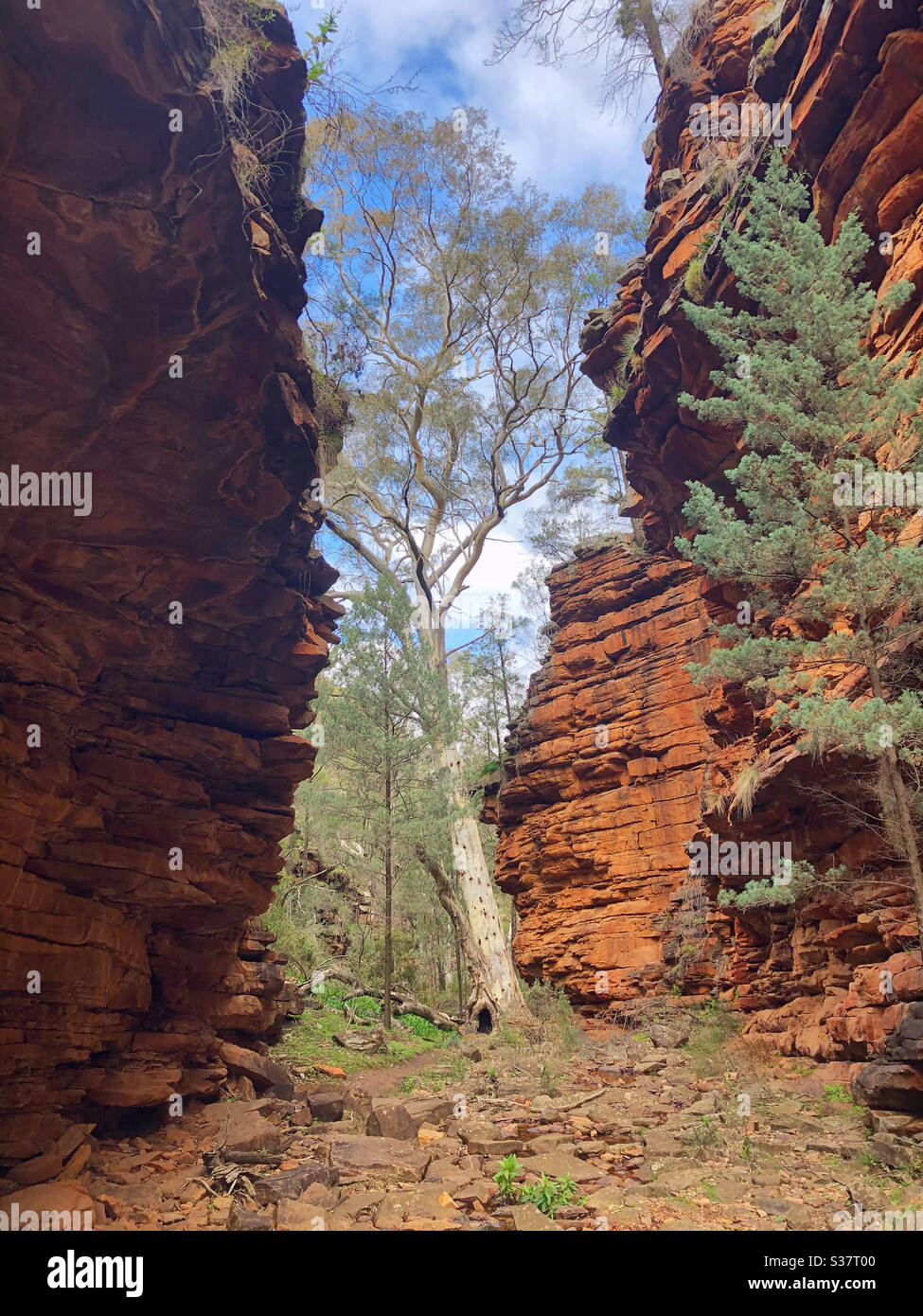 Alligator Gorge SA Stock Photo - Alamy