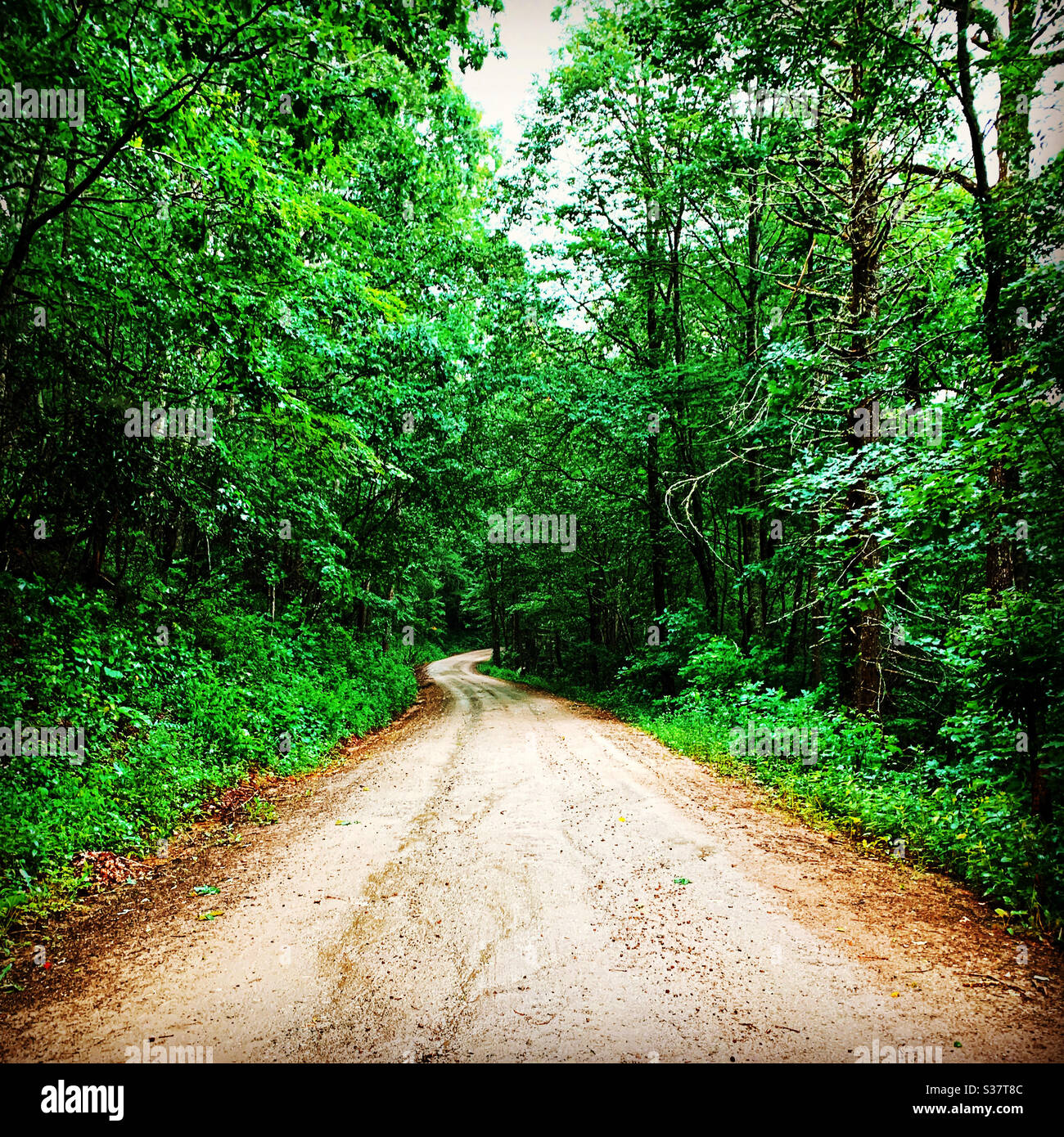 The old country road hi-res stock photography and images - Alamy